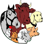 About - GLADSTONE VET CLINIC